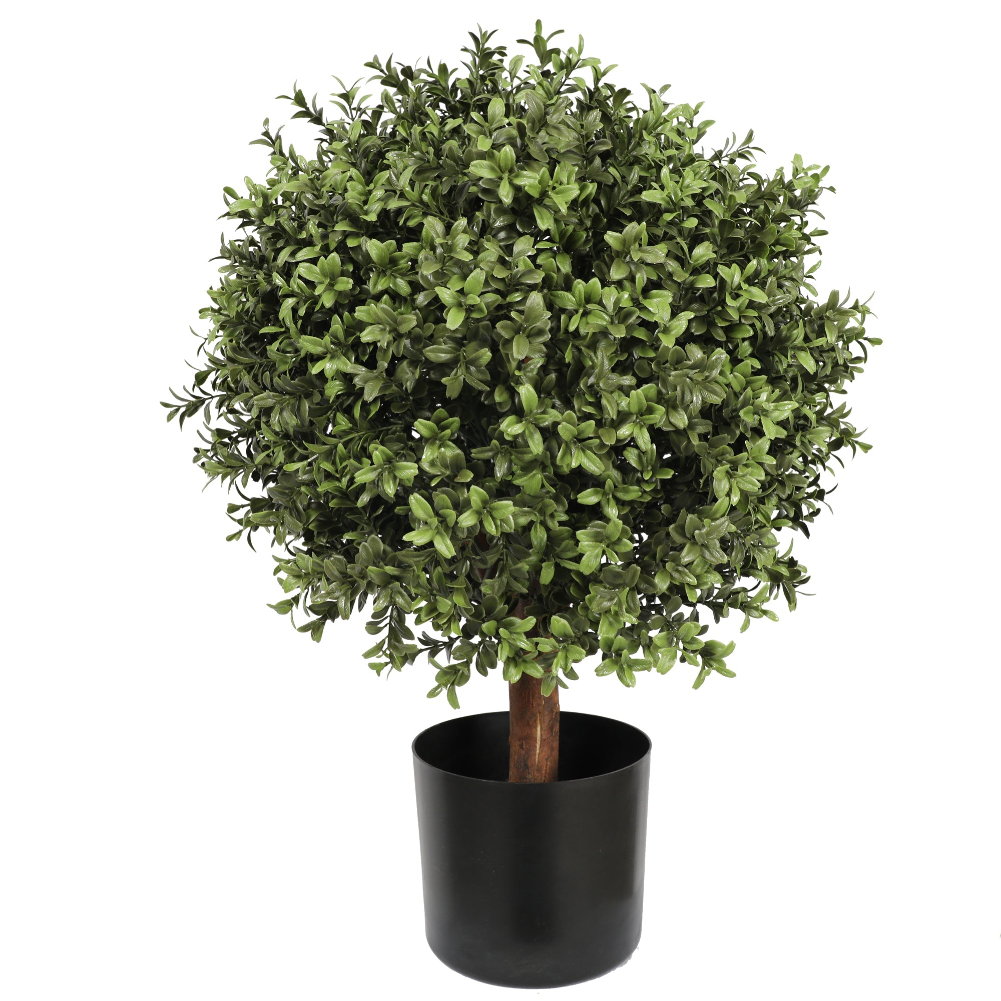 Buxus Ball Tree with Short Trunk 65CM - Al Rugaib Furniture